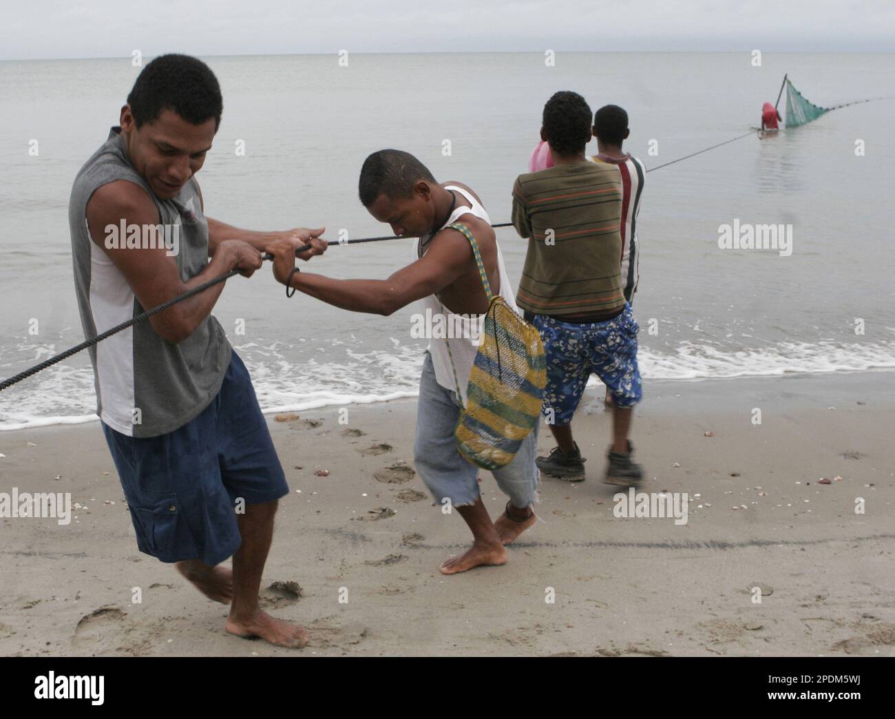 Settlers help to haul the network of fishermen to acquire fresh fish in ...
