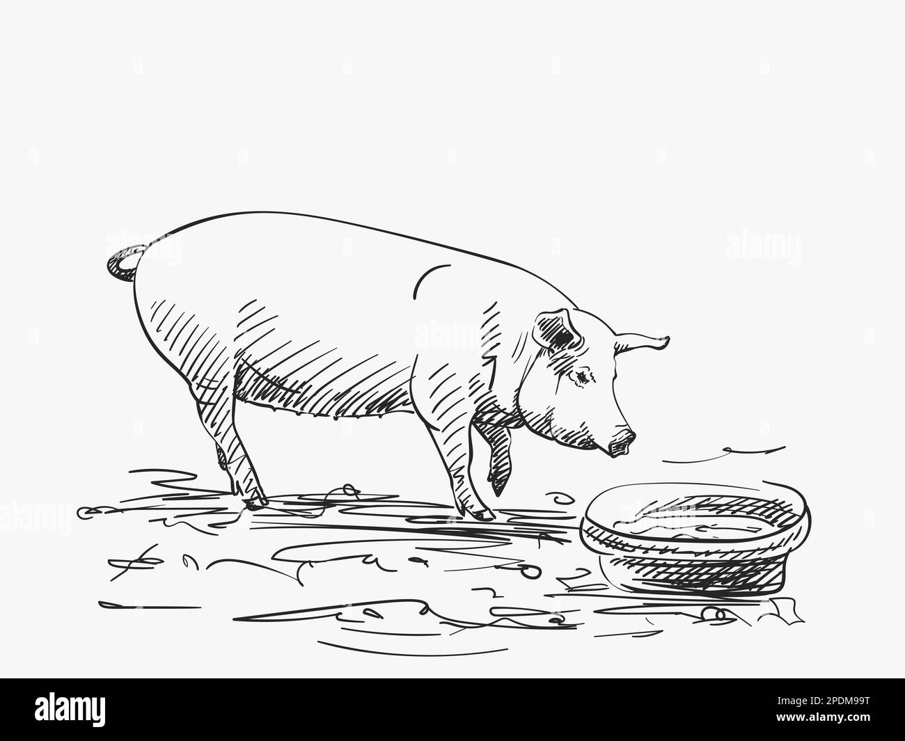 Pig on farm vector sketch, Hand drawn illustration Stock Vector Image ...