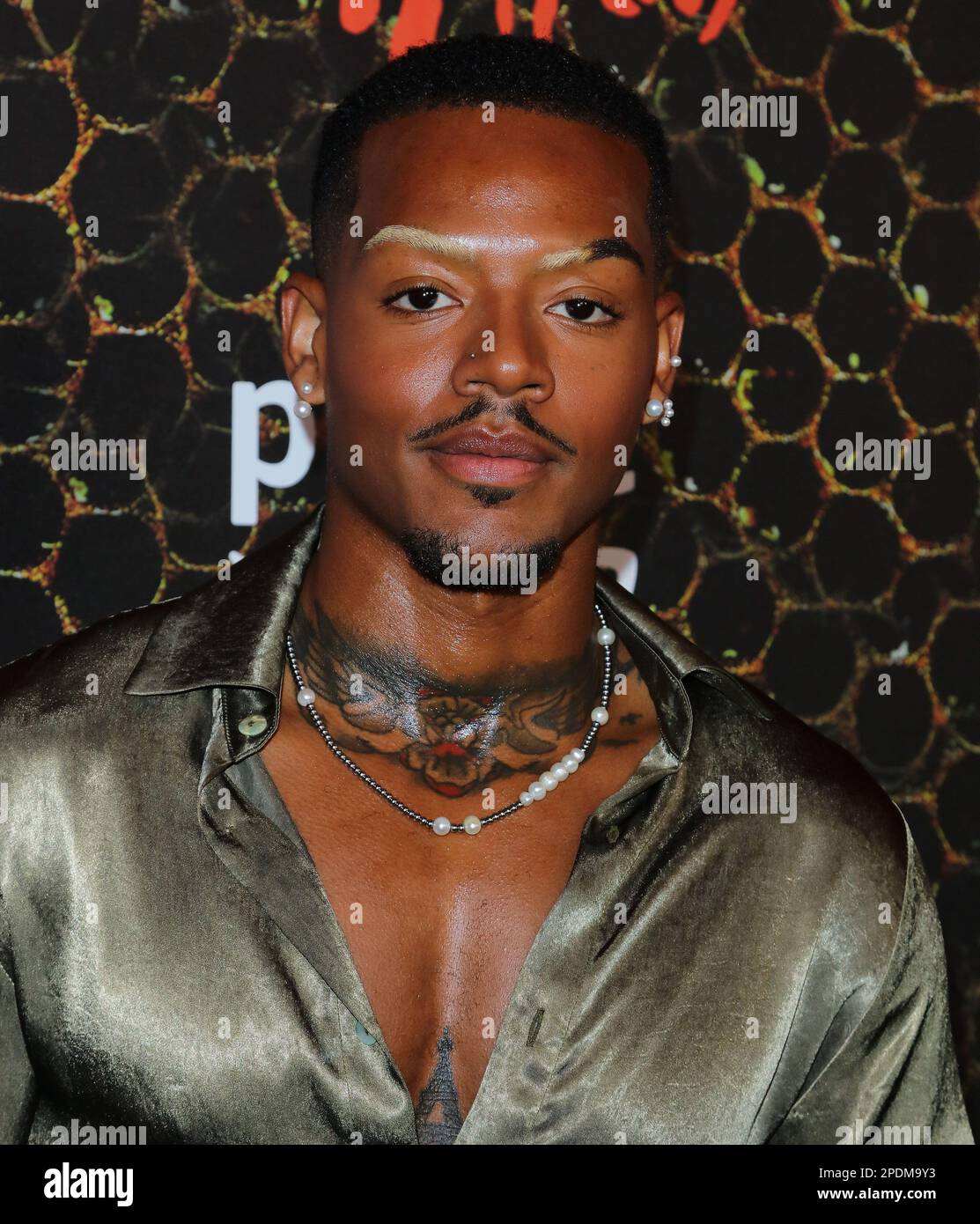Los Angeles, USA. 14th Mar, 2023. Tarek Ali arrives at SWARM Los ...