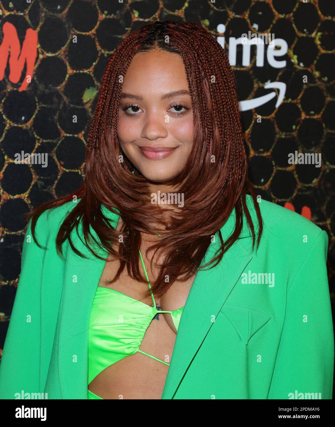 Los Angeles, USA. 14th Mar, 2023. Kiersey Clemons arrives at SWARM Los ...