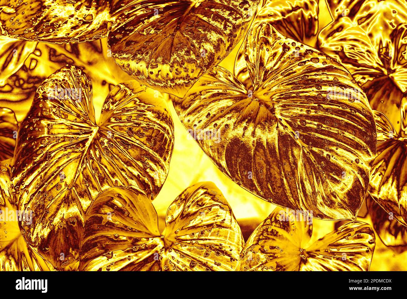 Golden leaves water drops background, gold flower leaf texture, yellow ...