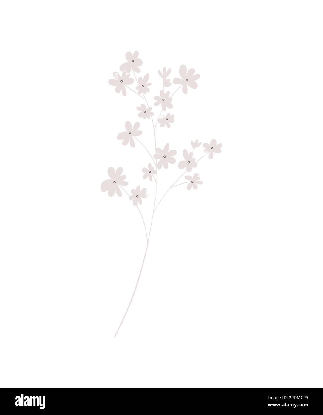 Delicate black borders Cut Out Stock Images & Pictures - Alamy