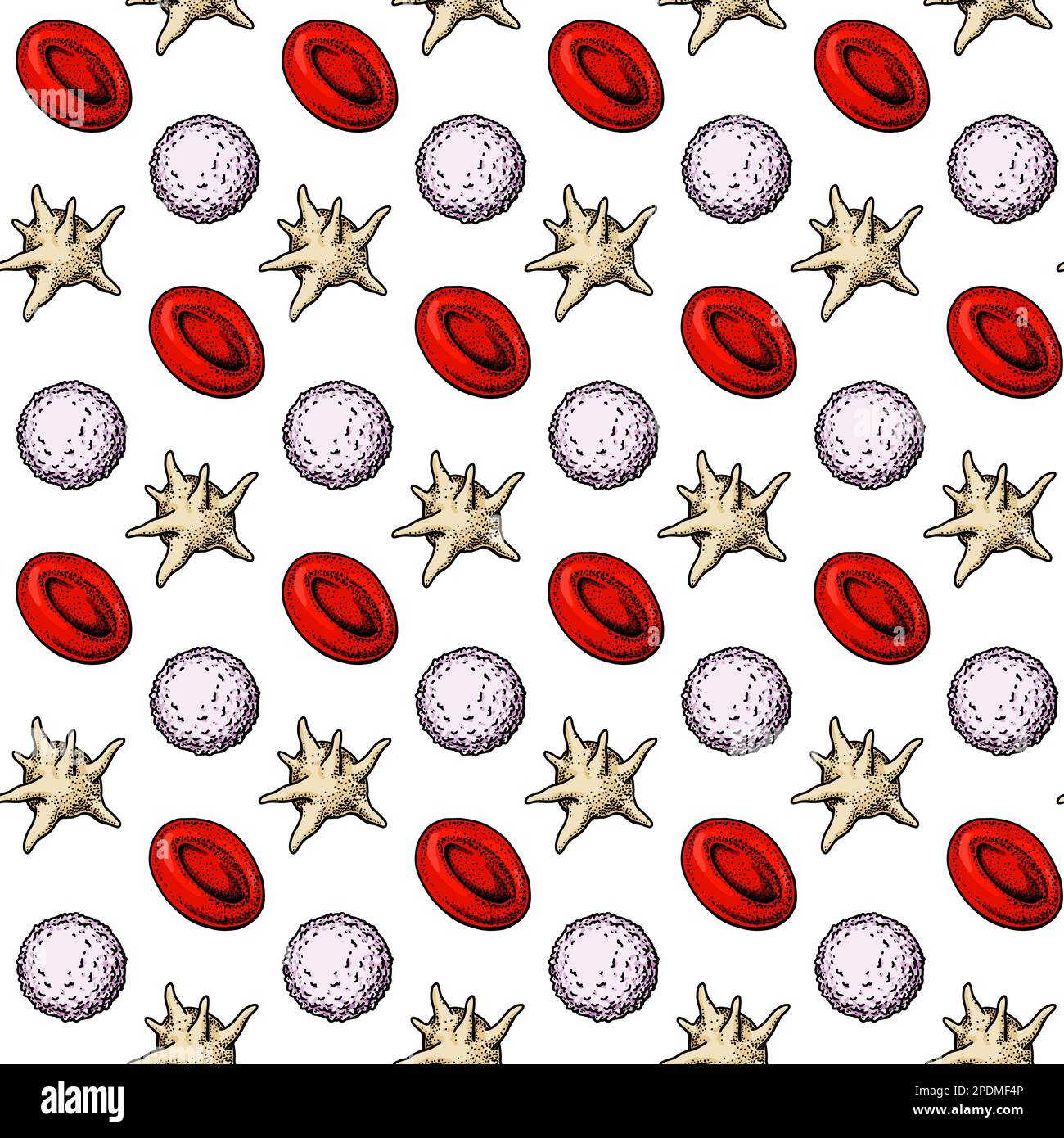 Blood cells seamless pattern. Hand drawn erythrocytes, leukocytes and ...