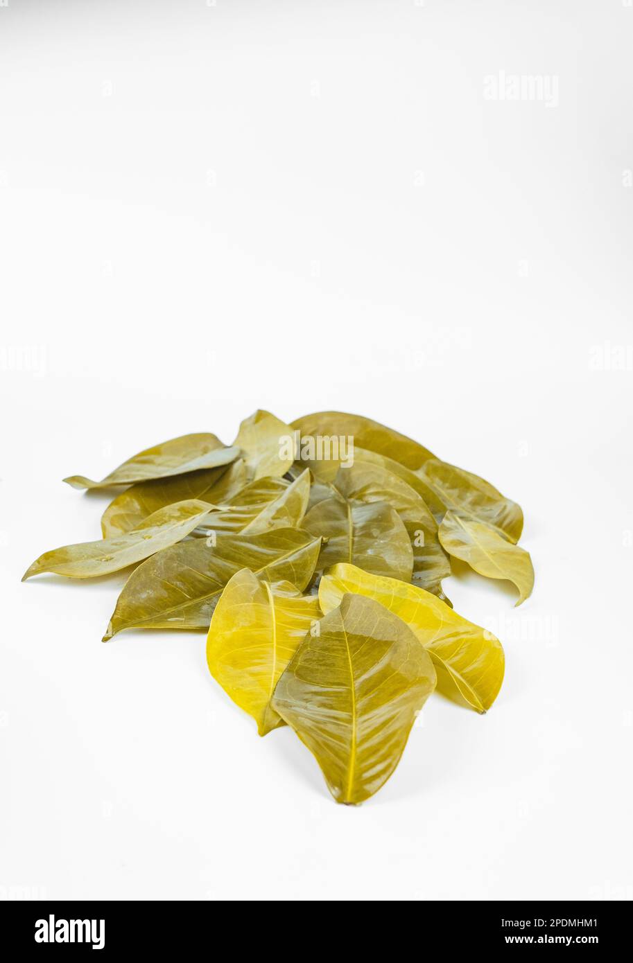 Bay leaves after being boiled and put on the white table Stock Photo ...