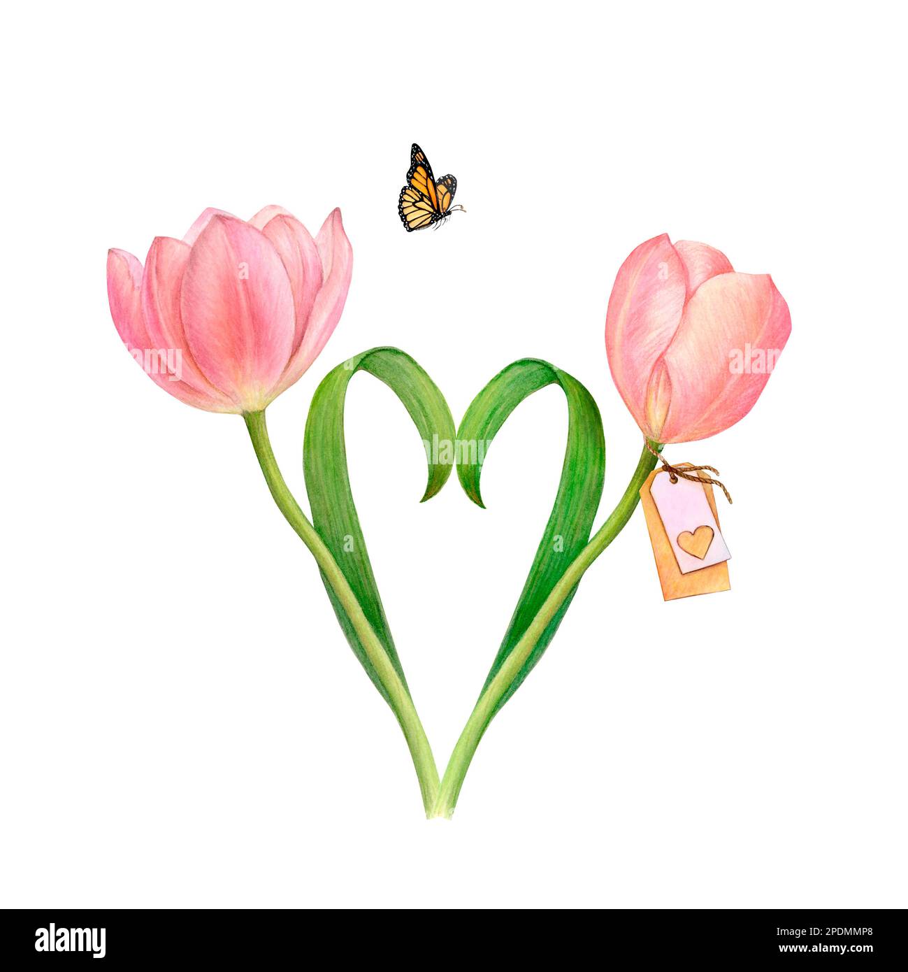 Drawn Butterfly With Tulips How To Draw Flowers & Butterfly With