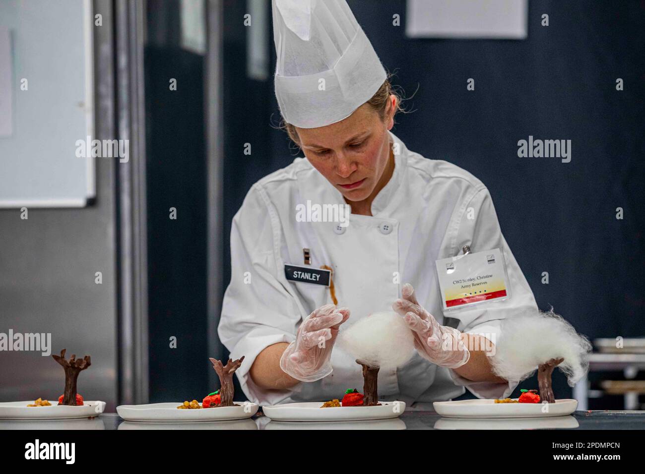 Usarcat hi-res stock photography and images - Alamy