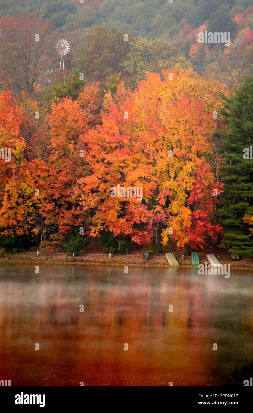 Fog begins to burn off as fall foliage reaches its peak on Rose Valley ...