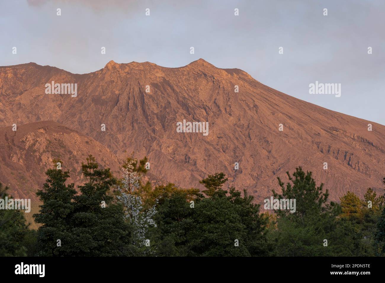 Sakurajima, Kagoshima Prefecture, Japan. 14th Mar, 2023. The ...