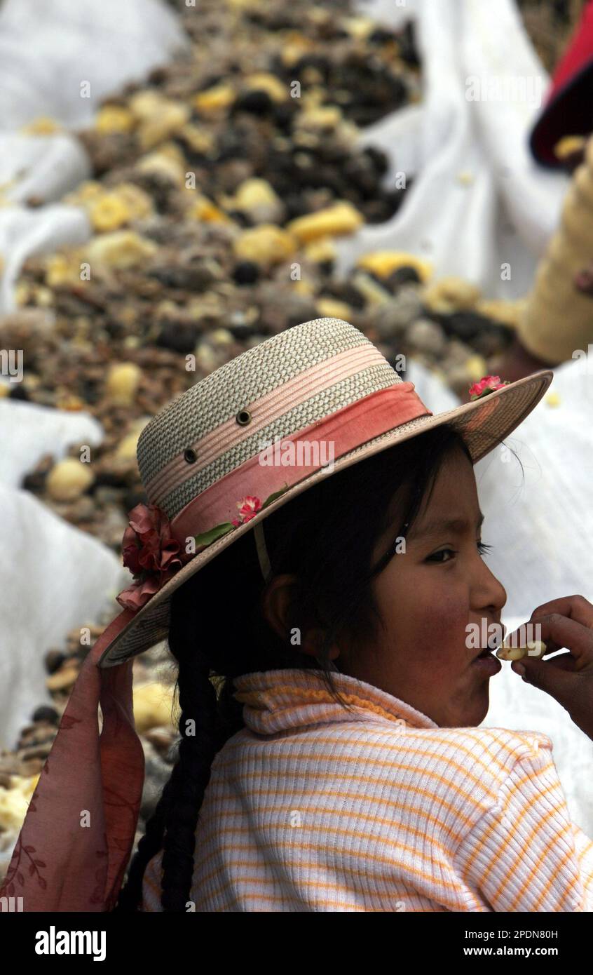 Elvira Choque eats a bite of potato while Aymara indigenous people ...