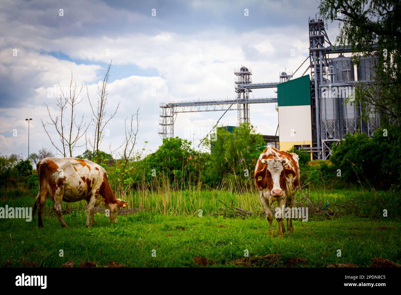 Bevy storage hi-res stock photography and images - Alamy