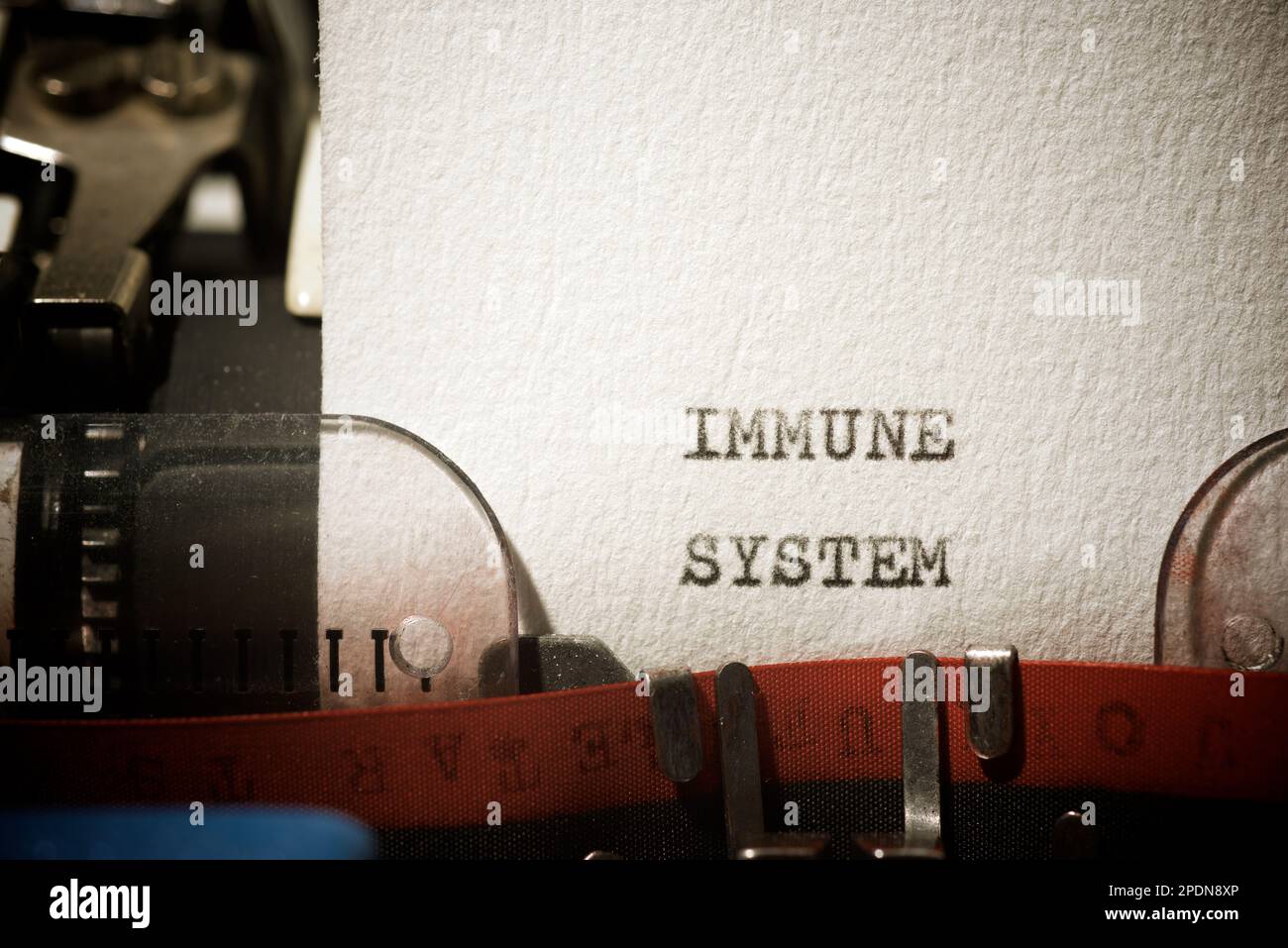 Immune system text written with a typewriter Stock Photo - Alamy