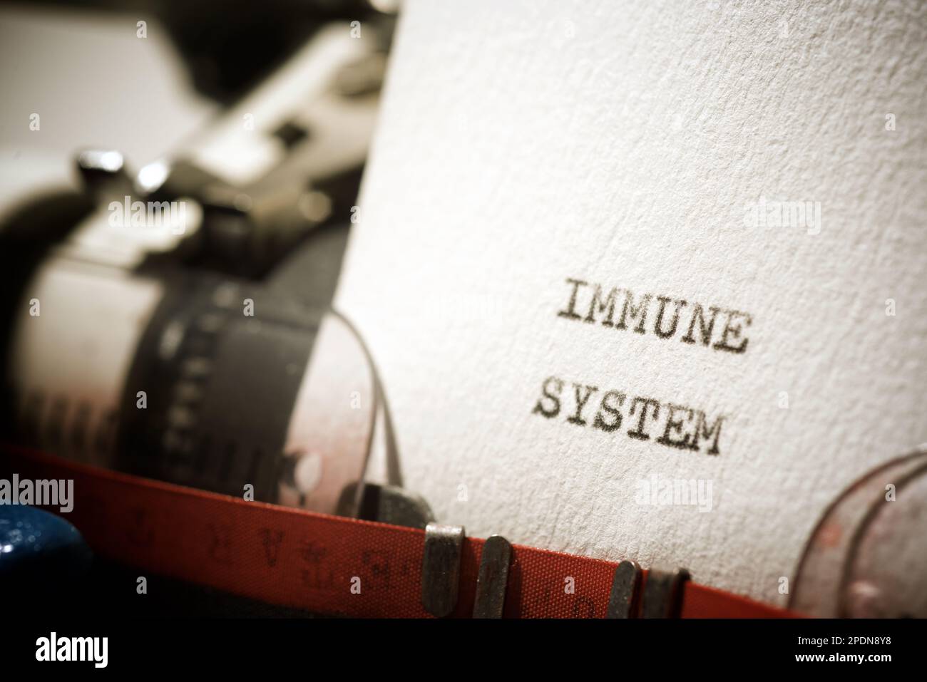 Immune system text written with a typewriter Stock Photo - Alamy