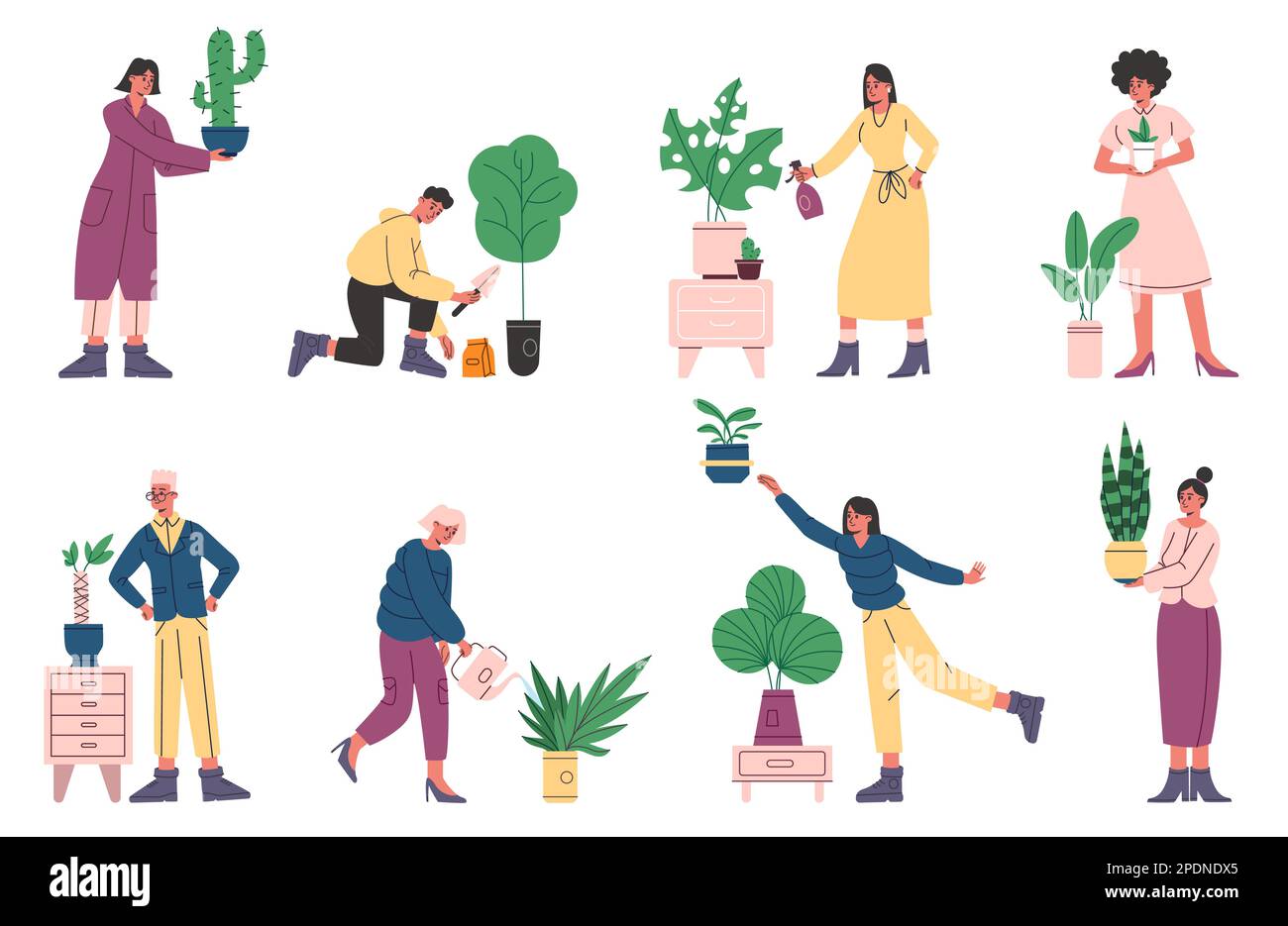 Cartoon happy people care room plants. Green cozy environment. Interior ...