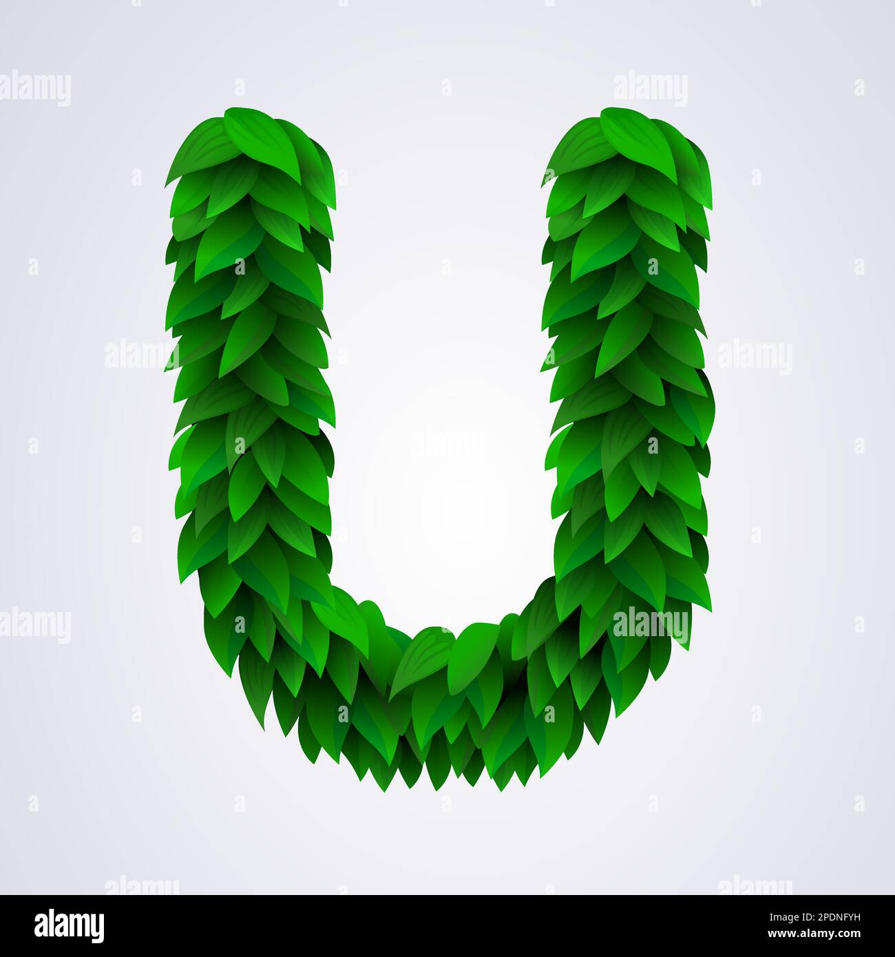 Alphabet letters made from fresh green leafs. Letter U. Vector illustration Stock Vector Image ...