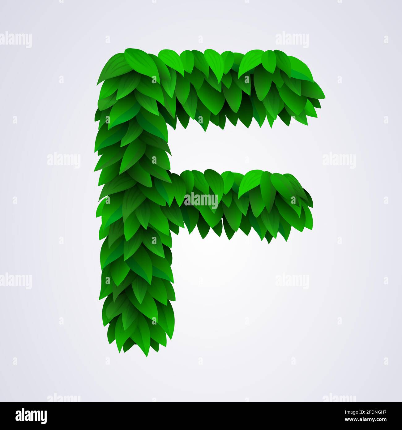 Alphabet letters made from fresh green leafs. Letter F. Vector ...