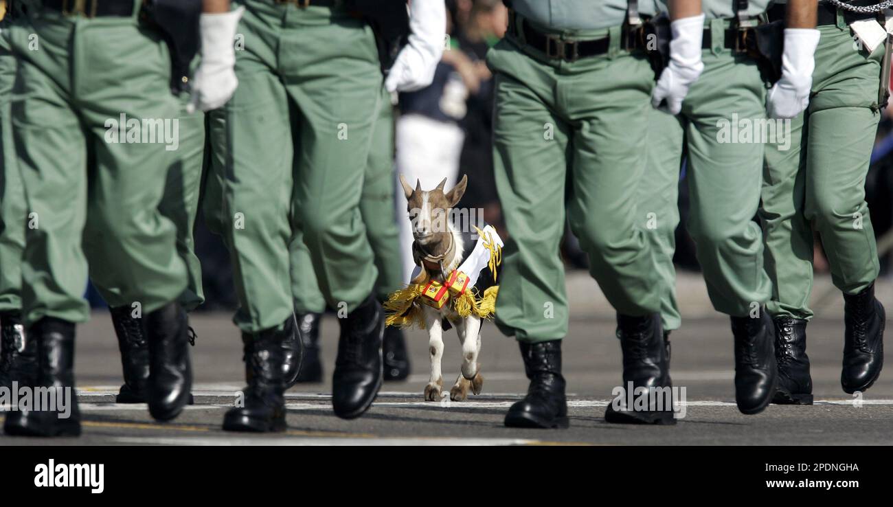 Spanish legionaries march with their mascot, a goat, during the annual ...