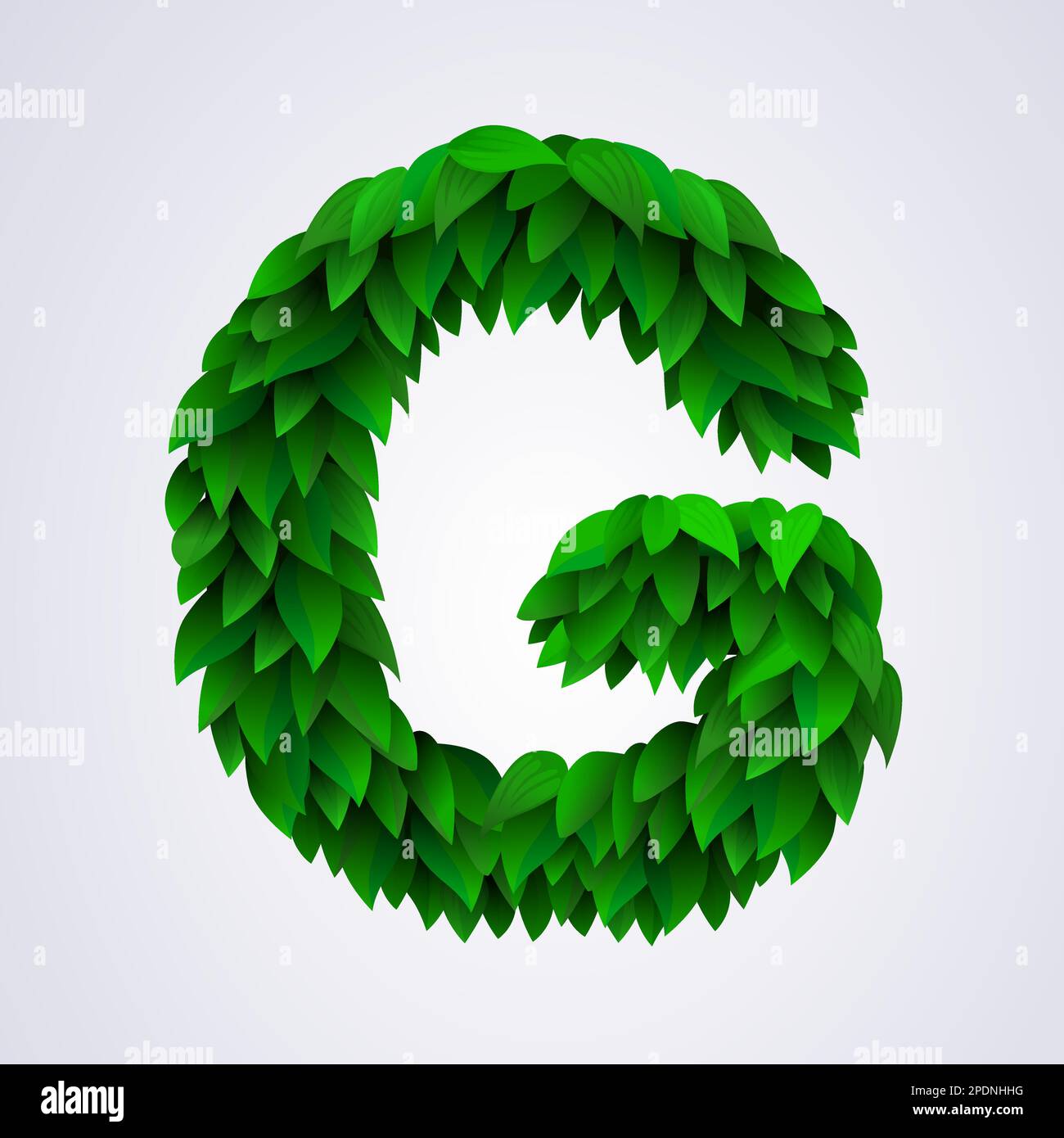 Alphabet letters made from fresh green leafs. Letter G. Vector ...