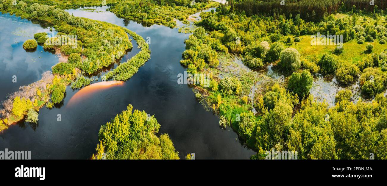Aerial view. Green forest, meadow and river marsh landscape in summer ...