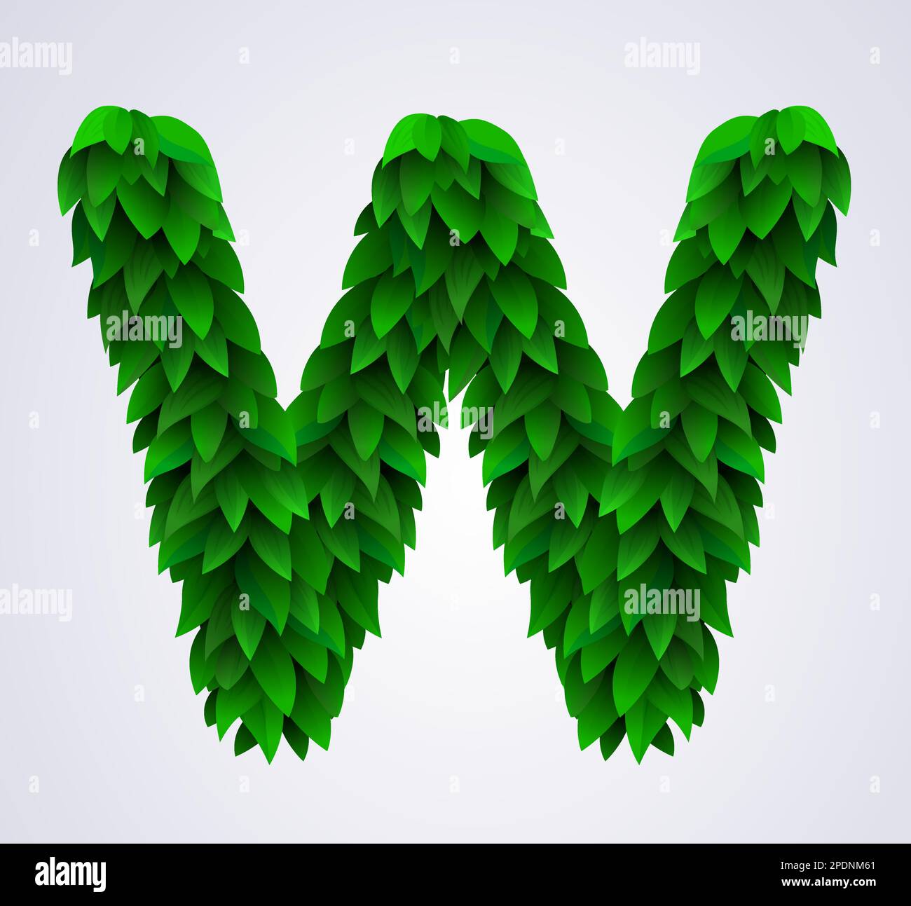 Alphabet letters made from fresh green leafs. Letter W. Vector ...