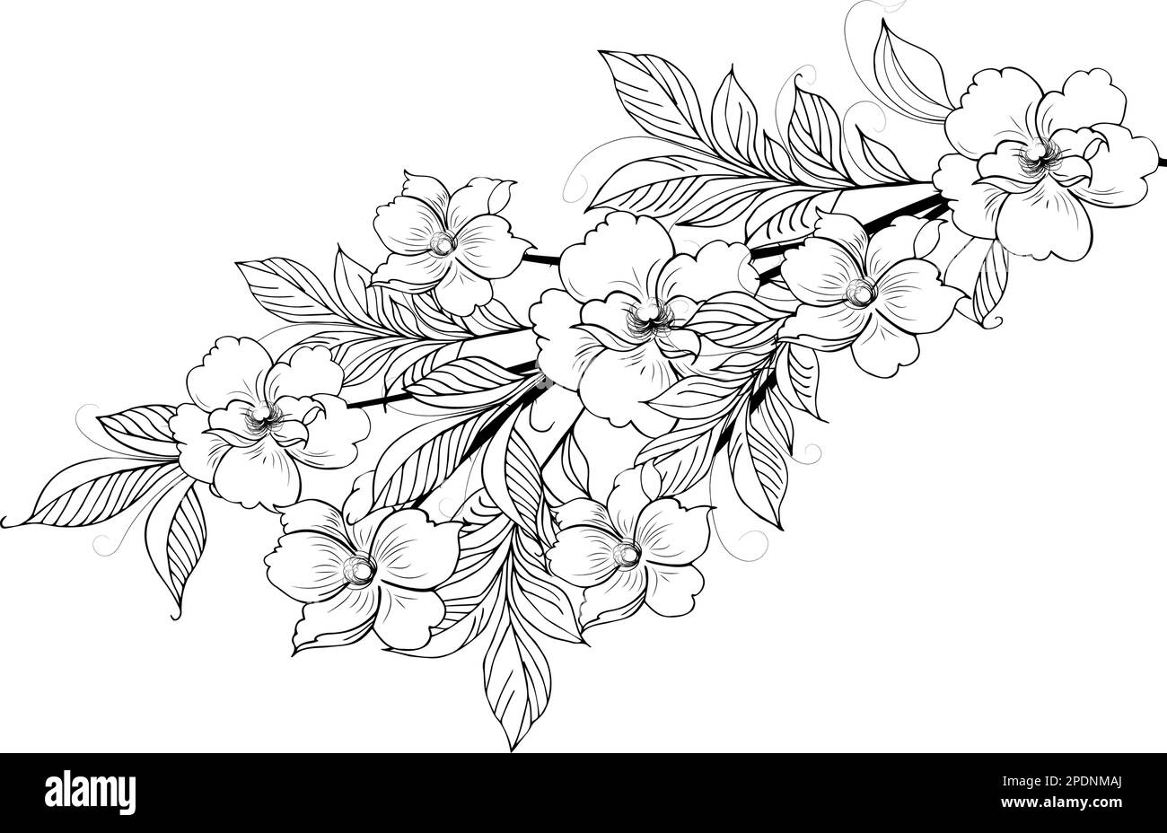 Gentle floral background from flower branches and buds, flower ...