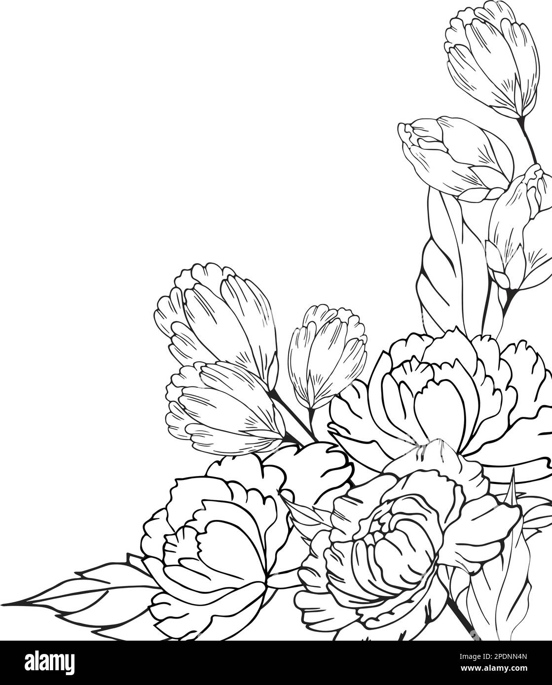 Gentle floral background from flower branches and buds, flower ...