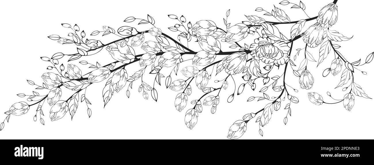 Gentle floral background from flower branches and buds, flower ...