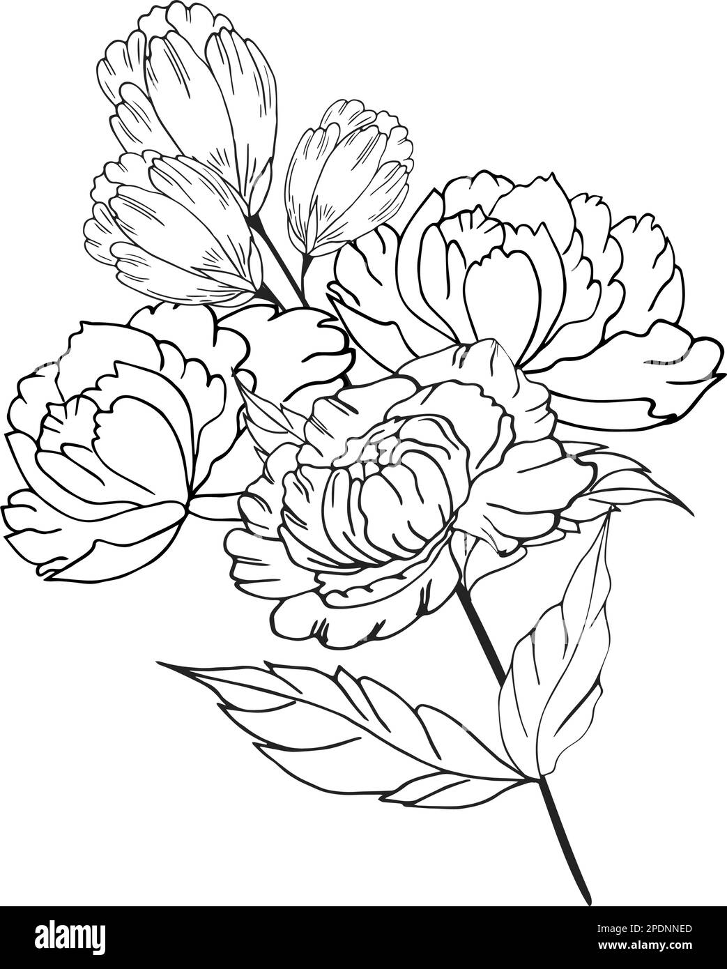 Gentle floral background from flower branches and buds, flower ...