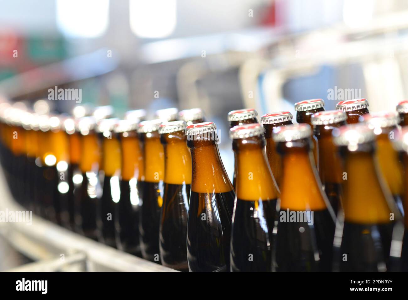 beer bottles on the assembly line in a modern brewery - industrial ...