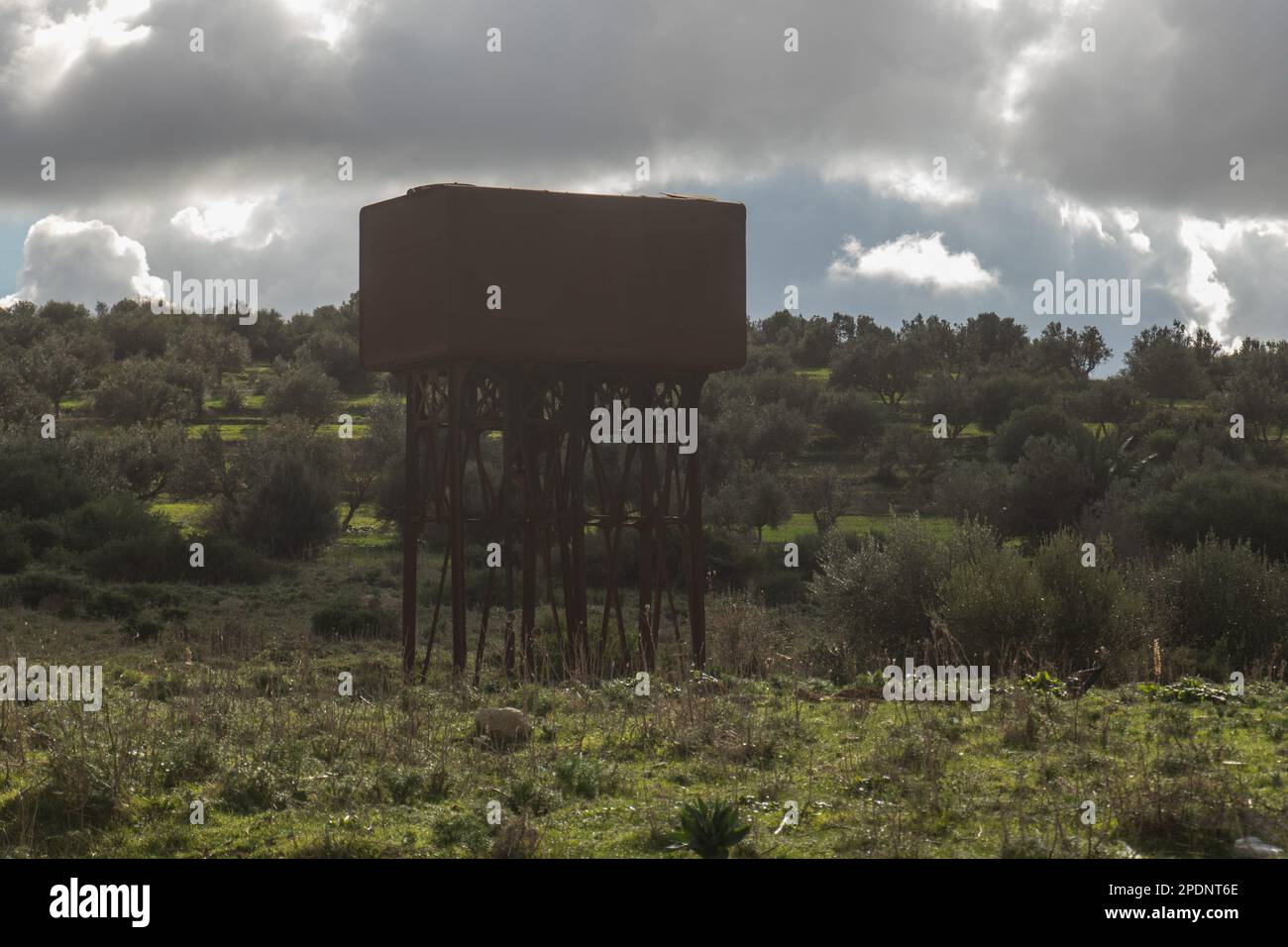 Oued zitoun hi-res stock photography and images - Alamy