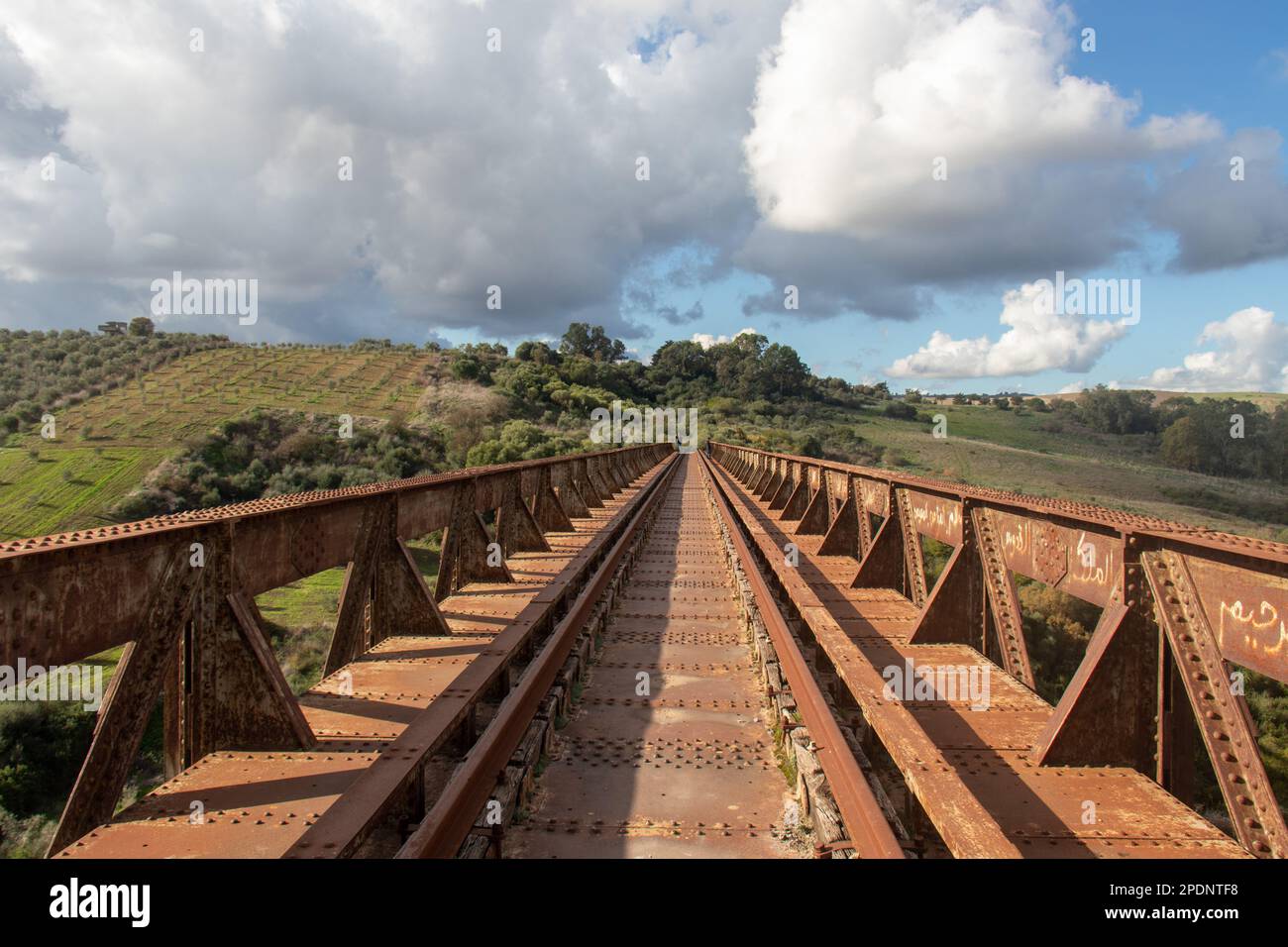 Oued zitoun hi-res stock photography and images - Alamy