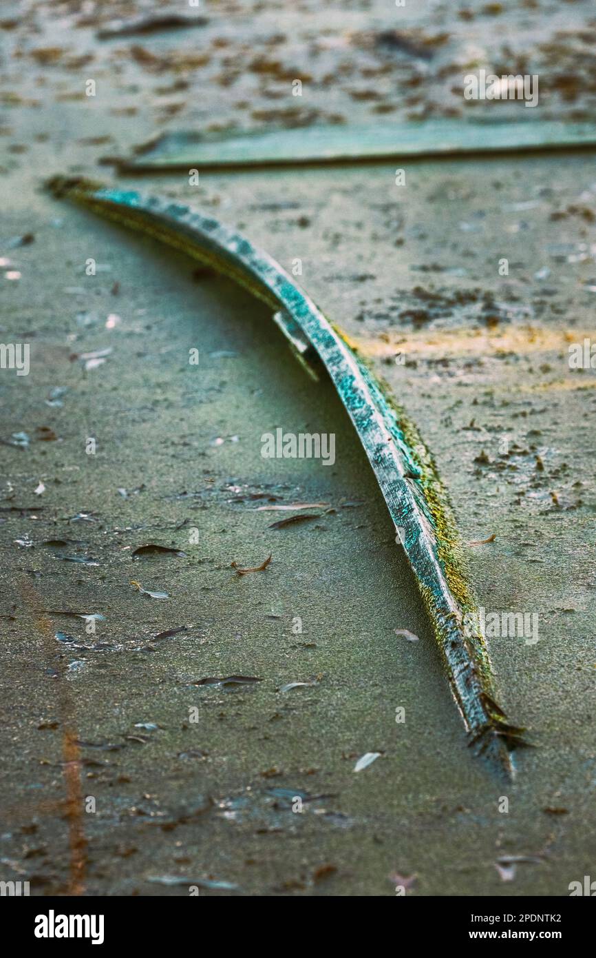 Old Wooden Abandoned Rowing Boat Flooded. Forgotten Things Concept ...