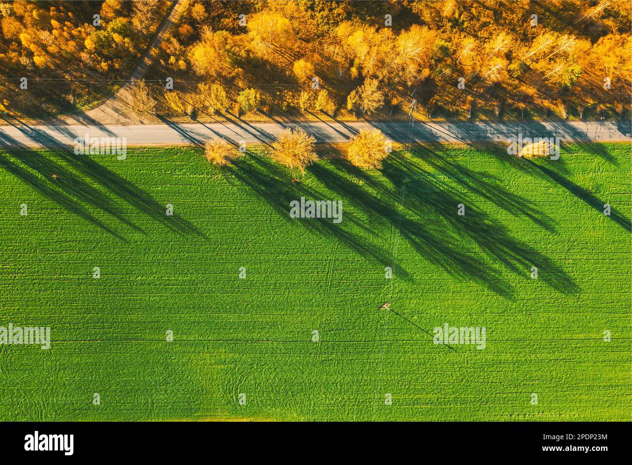 Aerial view of highway road through green field and autumn yellow ...