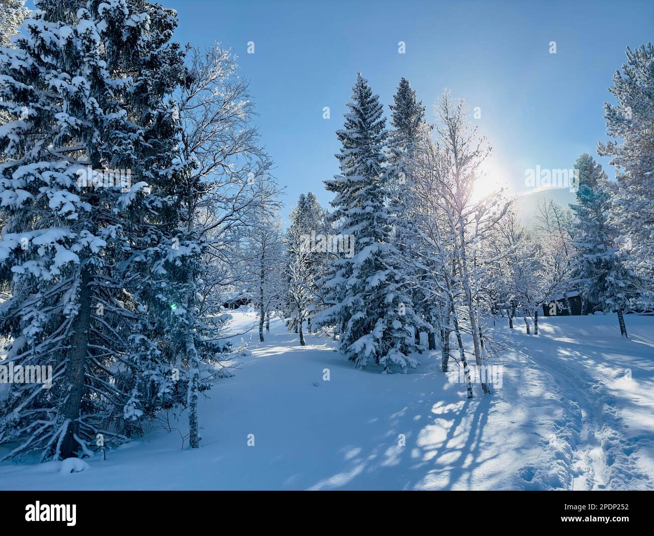 Tranquil winter scene trees hi-res stock photography and images - Alamy