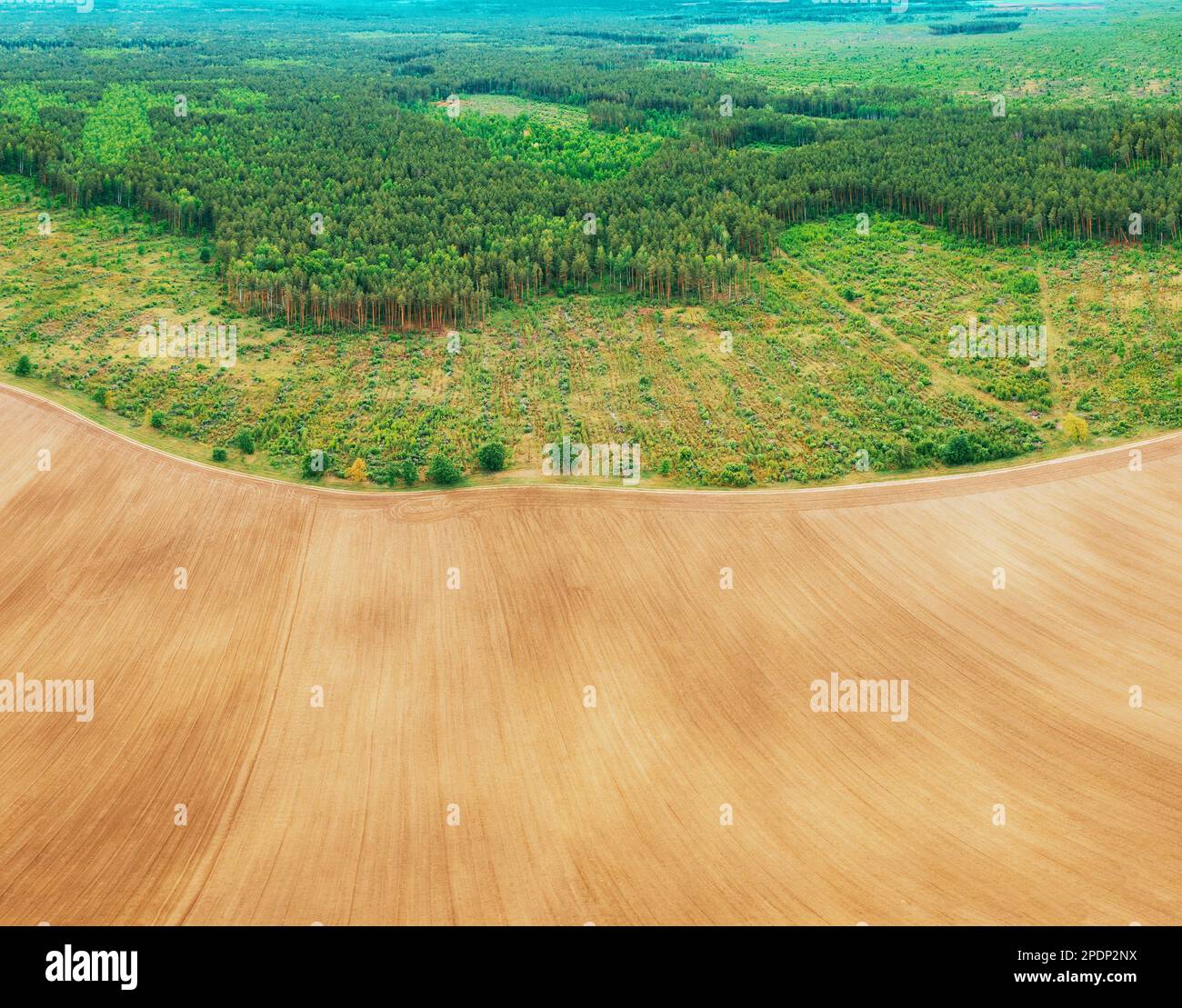 Aerial View Of Field And Deforestation Area Zone Landscape. Top View Of ...