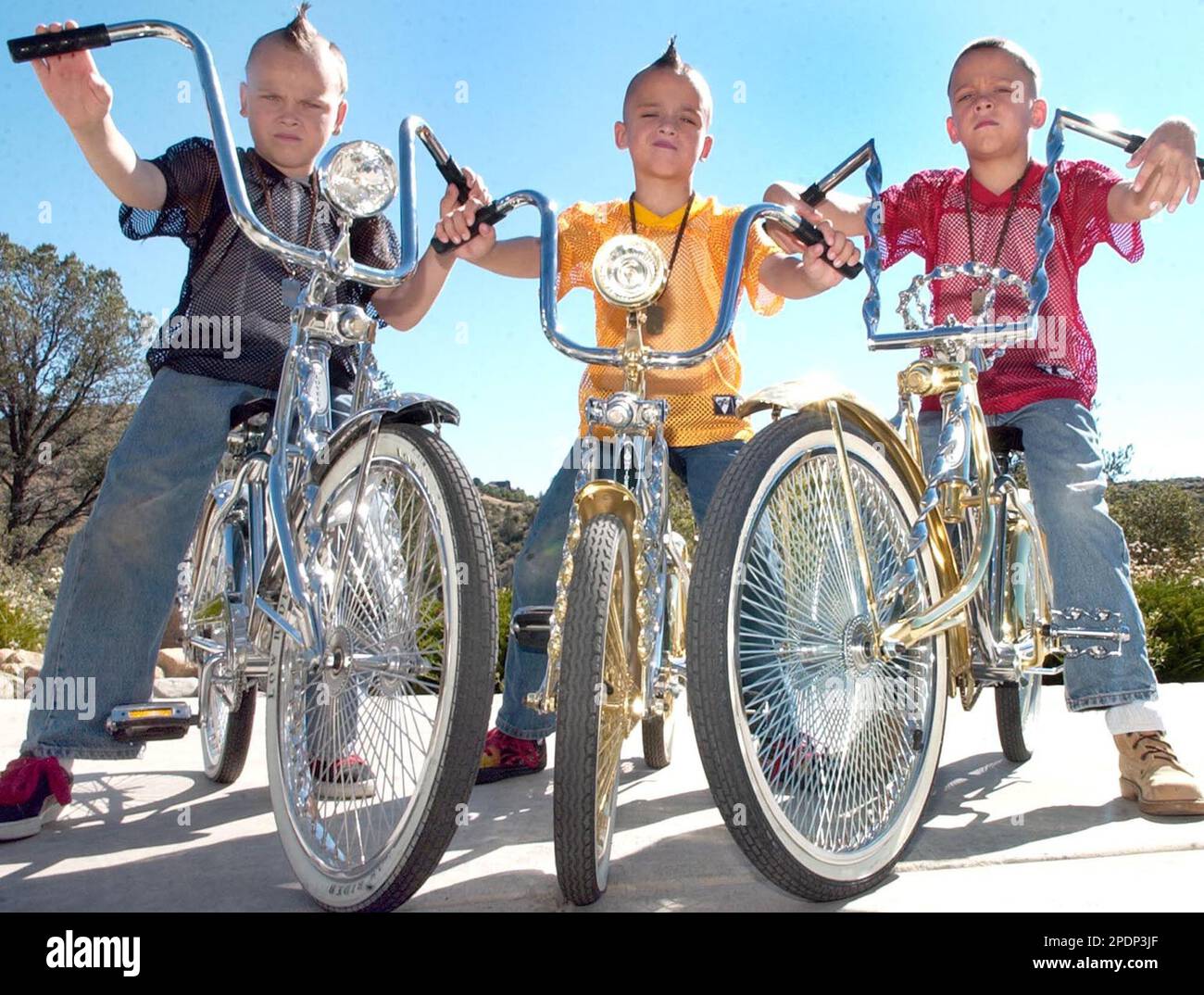 Dakota,Talon and Saxon Vaughn,, from left, students at Taylor Hicks ...