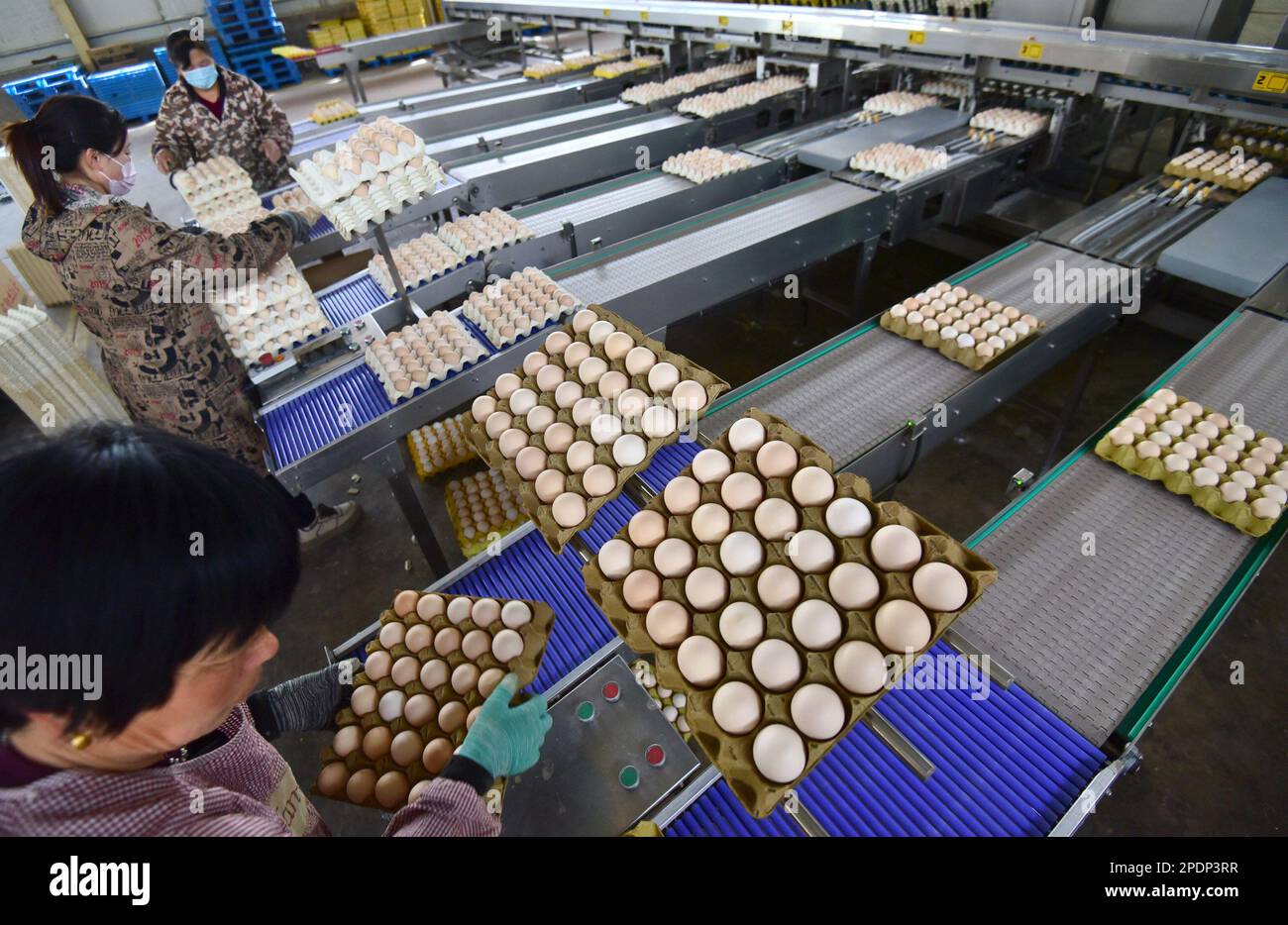 Egg works hi-res stock photography and images - Alamy