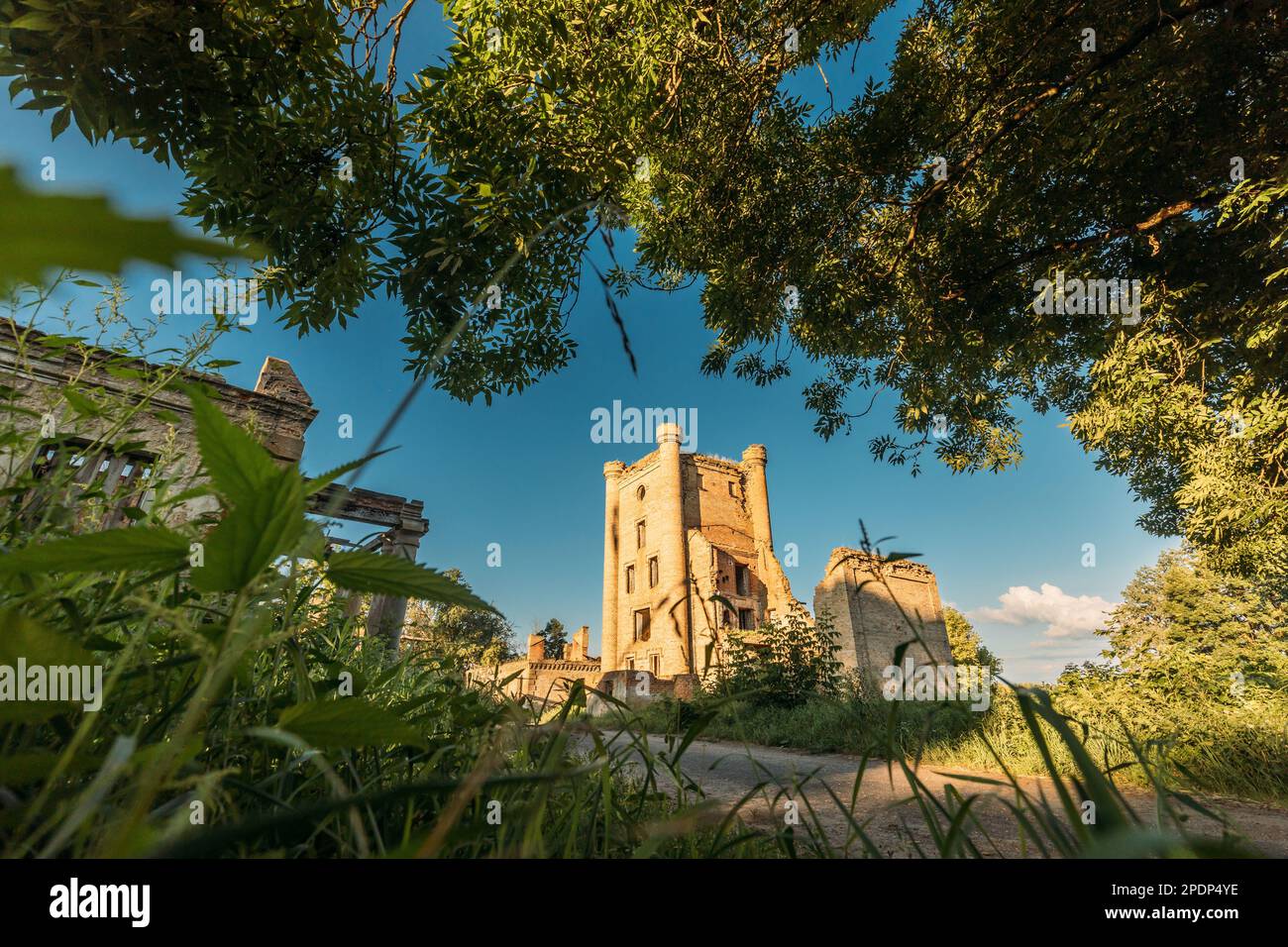 Belarus - Remains Of Yastrzhembsky Estate And Park Complex. Old Five ...