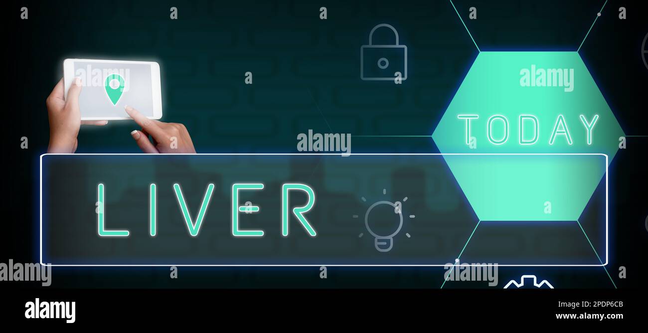 Hand writing sign Liver. Word for Large lobed glandular organ in the ...