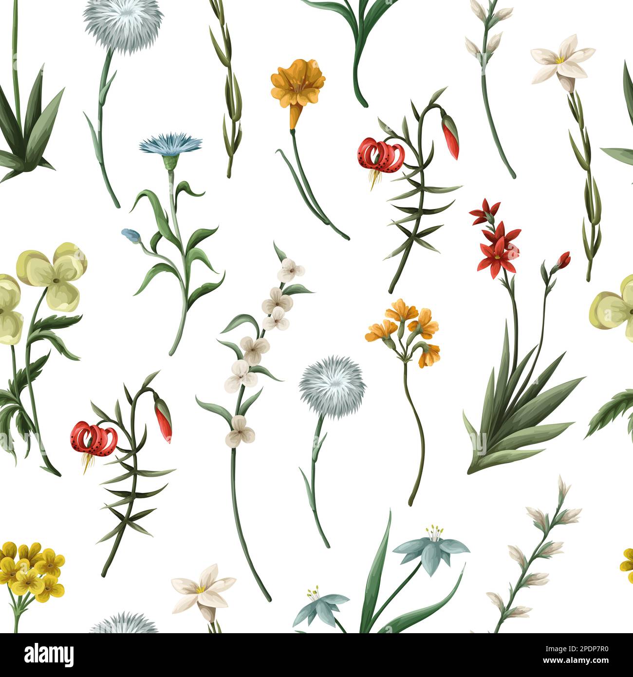 Meadow wild flowers sky Stock Vector Images - Alamy