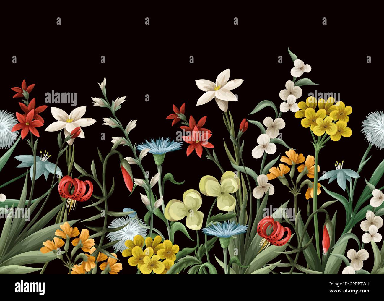 Meadow wild flowers sky Stock Vector Images - Alamy