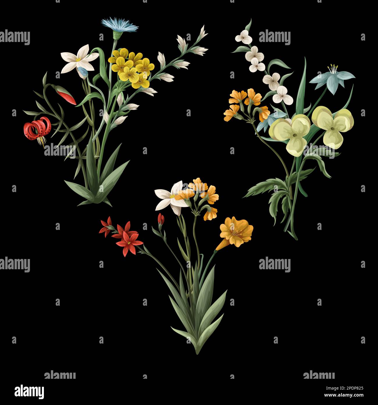 Wild flowers field sky beautiful Stock Vector Images - Alamy