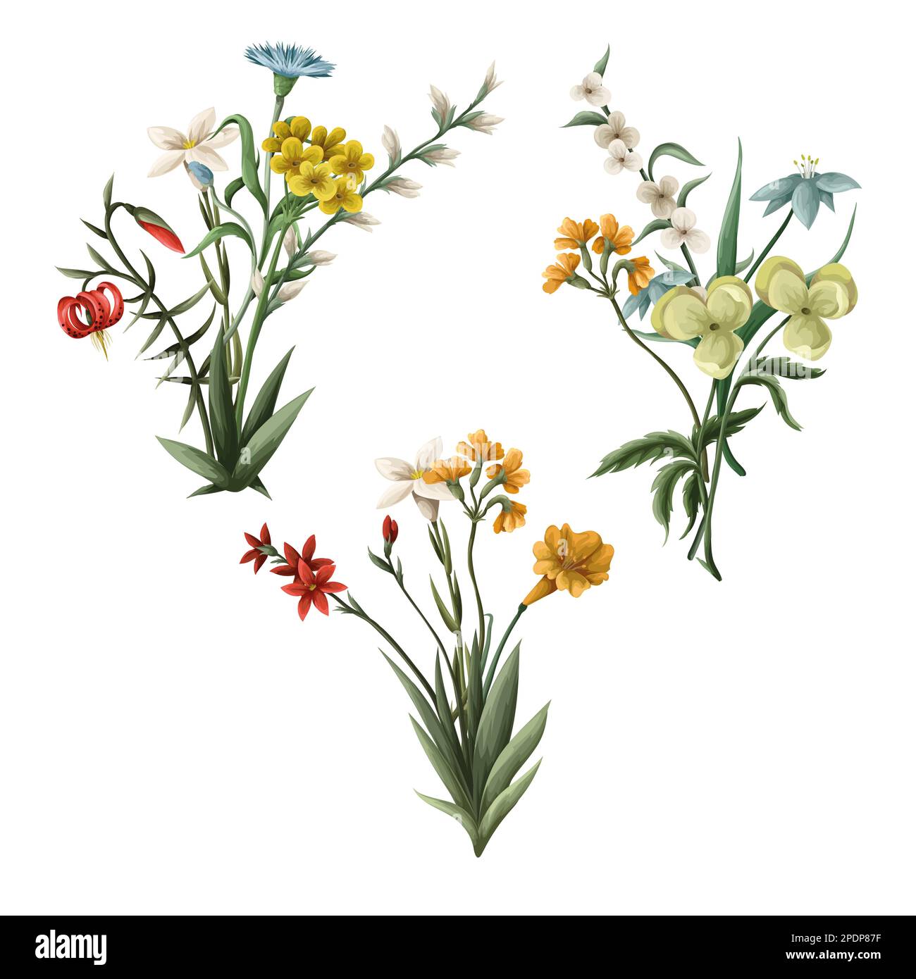 Bright sunny flower border Stock Vector Images - Alamy