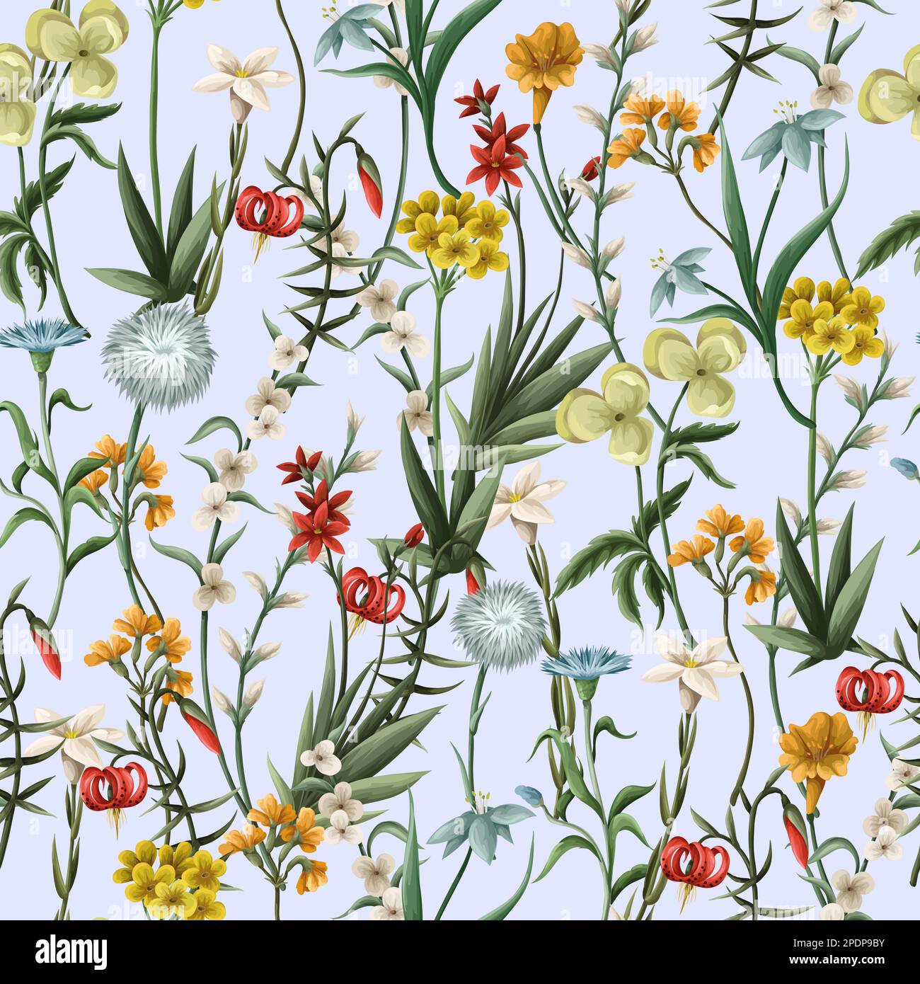 Seamless pattern with thin meadow flowers. Vector Stock Vector Image ...