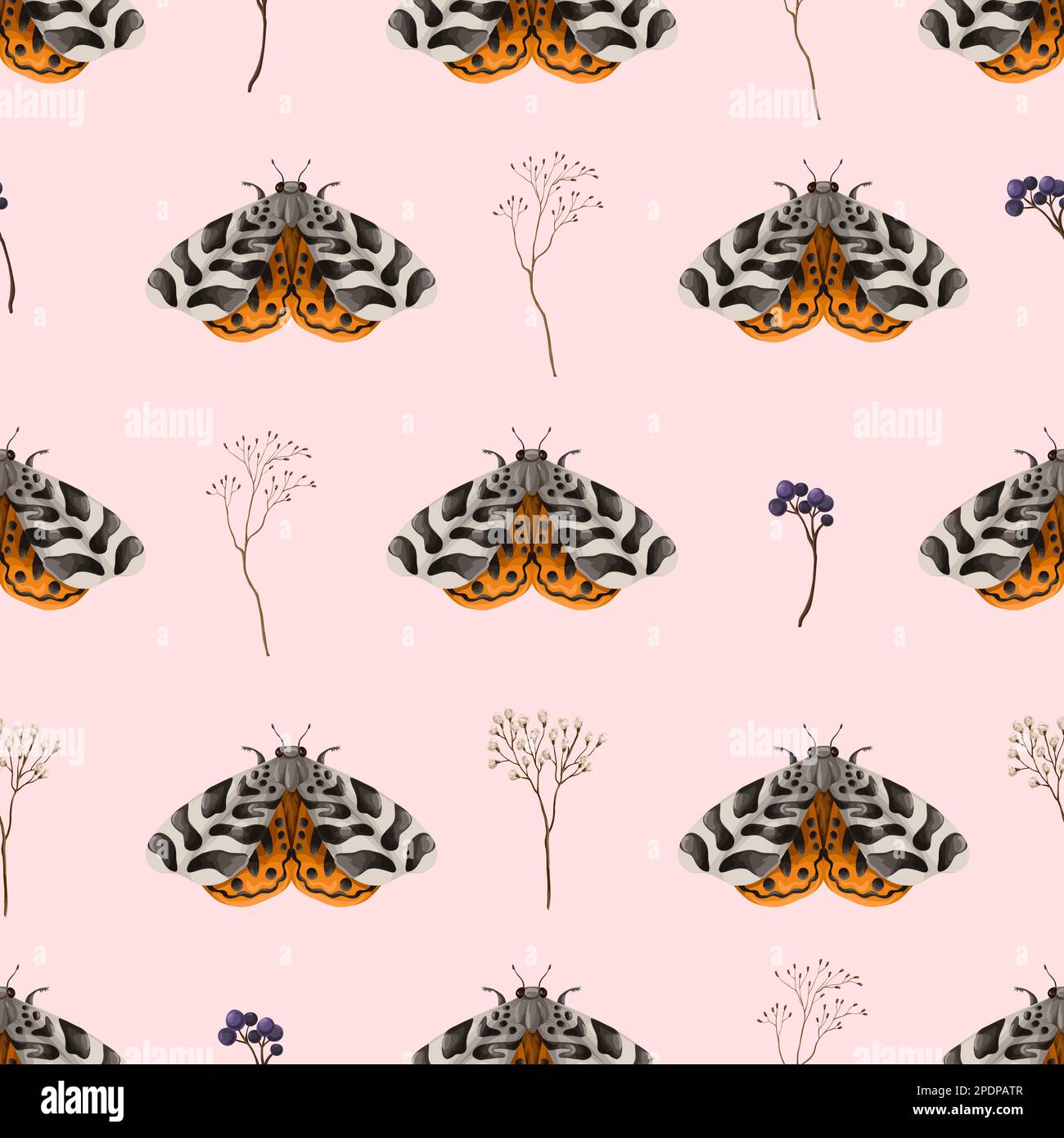 Butterly illustration Stock Vector Images - Alamy