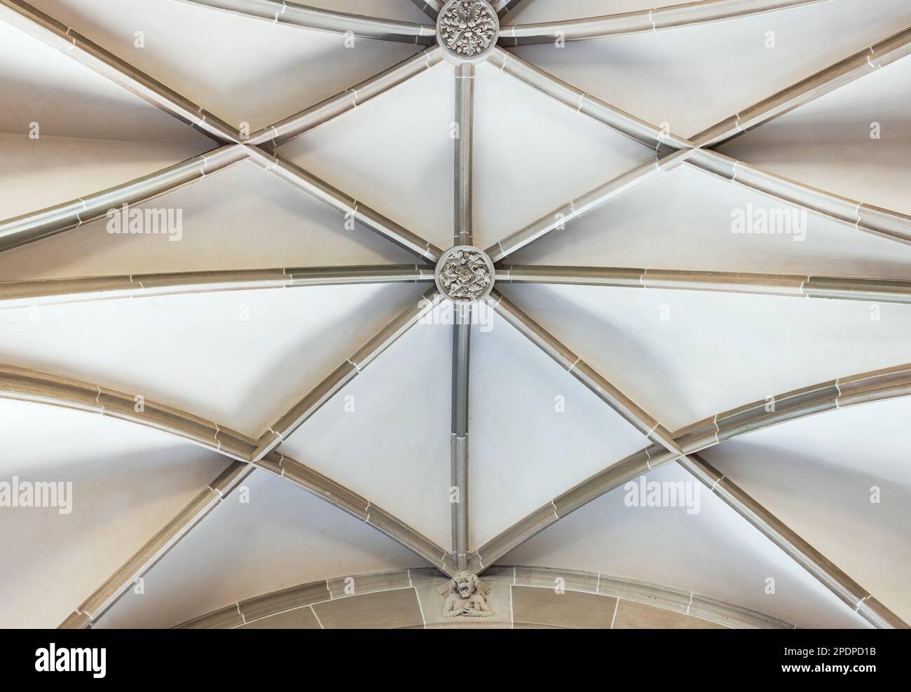 beautiful ornament ceiling background texture Stock Photo - Alamy