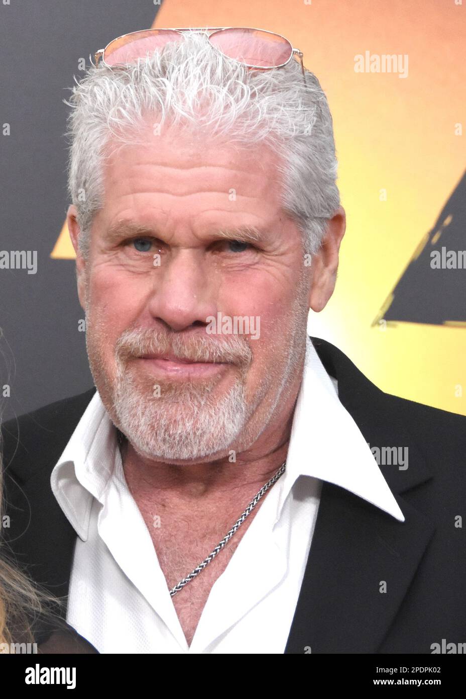 Ron Pipes's Instagram, Twitter & Facebook on IDCrawl