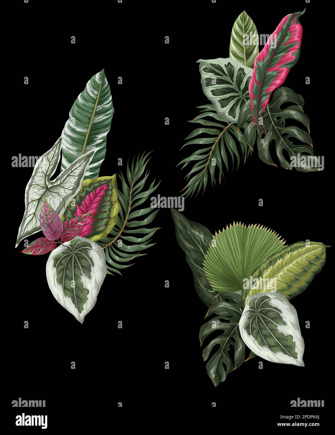 Vivid tropical leaves isolated. Vector Stock Vector Image & Art - Alamy