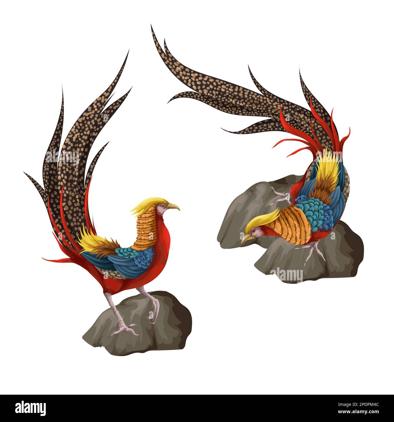 Pheasant logo Stock Vector Images - Alamy