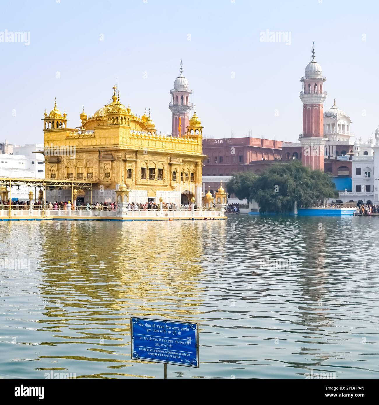 Beautiful view of Golden Temple (Harmandir Sahib) in Amritsar, Punjab ...