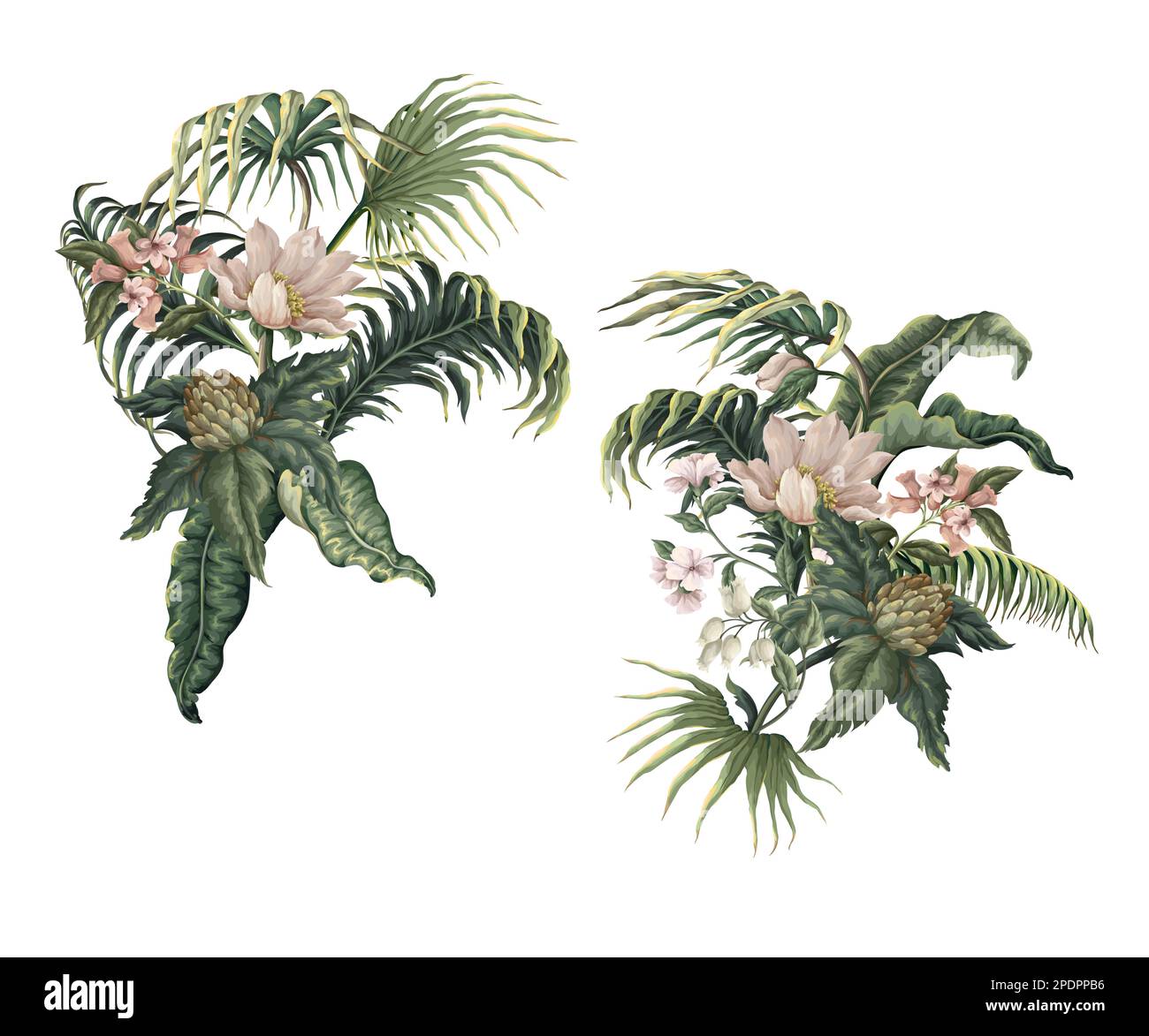 Natural flowers plants leaves Stock Vector Images - Alamy